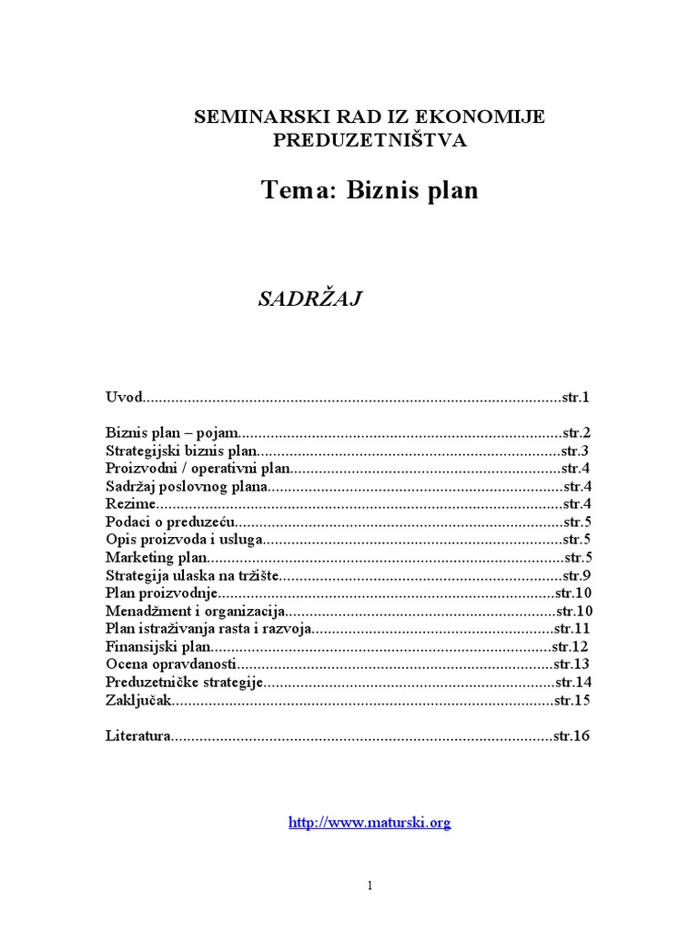 Biznis Plan | PDF