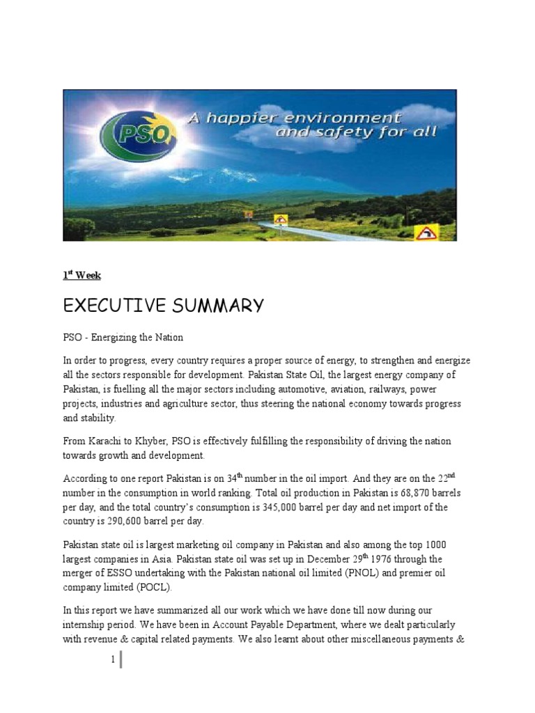 Pso Internship Report | PDF | Natural Gas | Petroleum