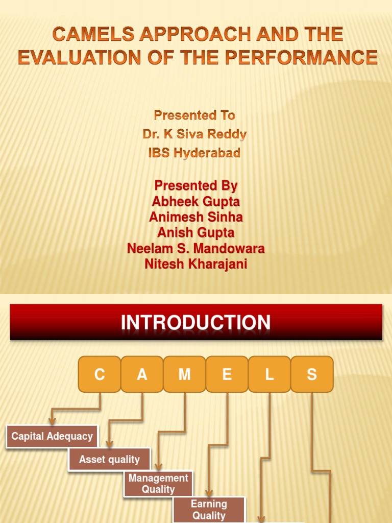 Camels Rating | PDF | Market Liquidity | Market (Economics)