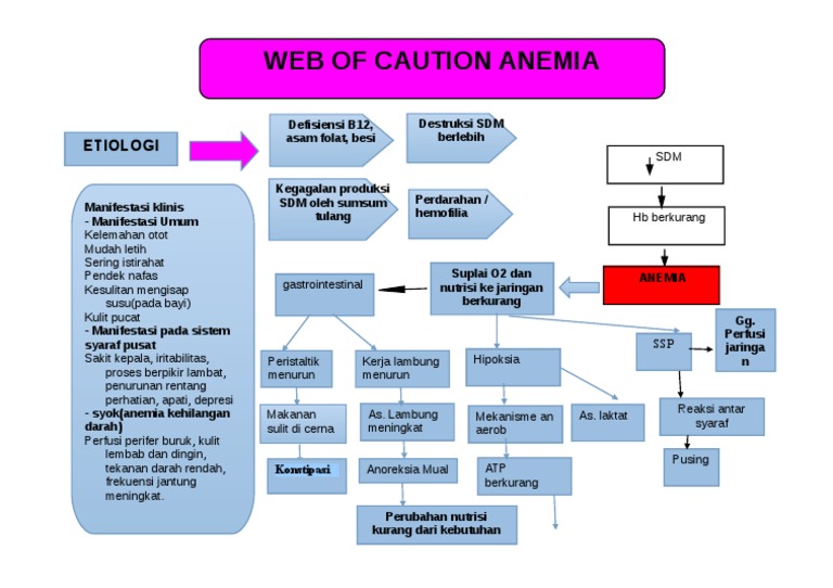 Woc Anemia | PDF