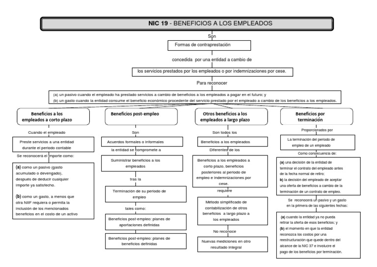Mapa conceptual NIC 19