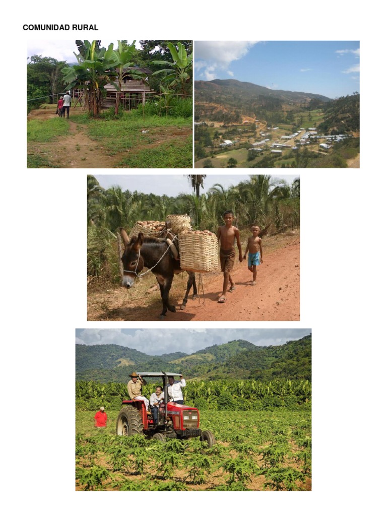 Comunidad Rural | PDF | Área rural | Área urbana