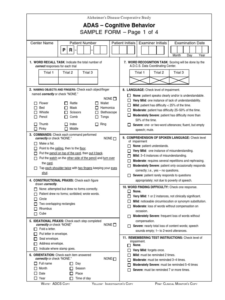 ADAS Packet | PDF
