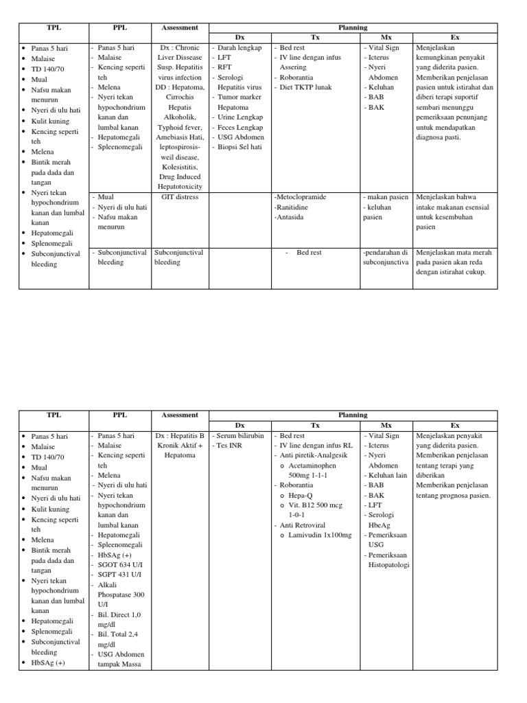 TPL PPL Assessment Planning DX TX MX Ex | PDF | Sains & Matematika