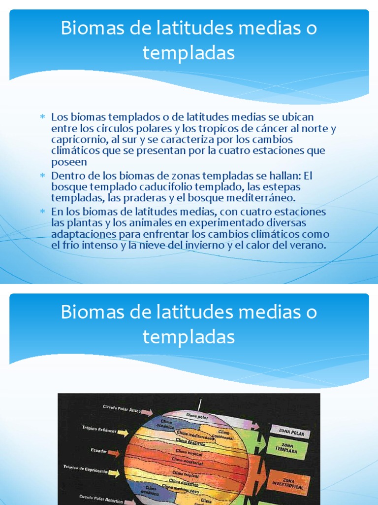 Biomas Templados y Latitudes Medias | PDF | Clima templado | Ciencias ...