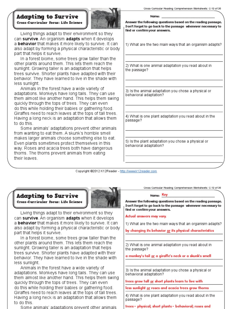 Adapting To Survive | PDF | Adaptation | Giraffe