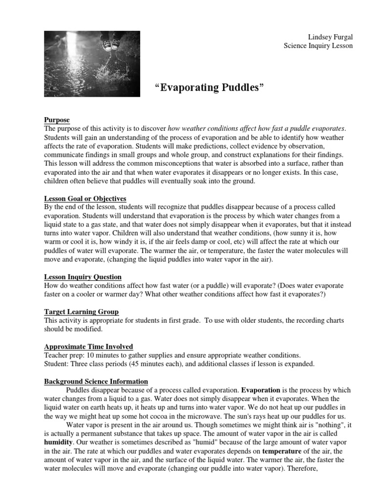 Understanding Puddle Evaporation | PDF | Water Vapor | Atmosphere Of Earth
