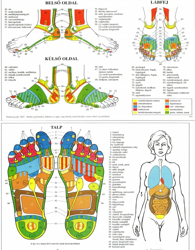 Színes Talptérkép | PDF