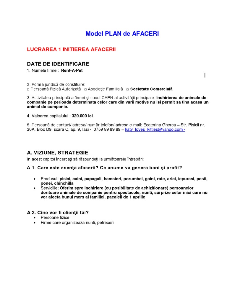 Model de Plan de Afaceri Start | PDF