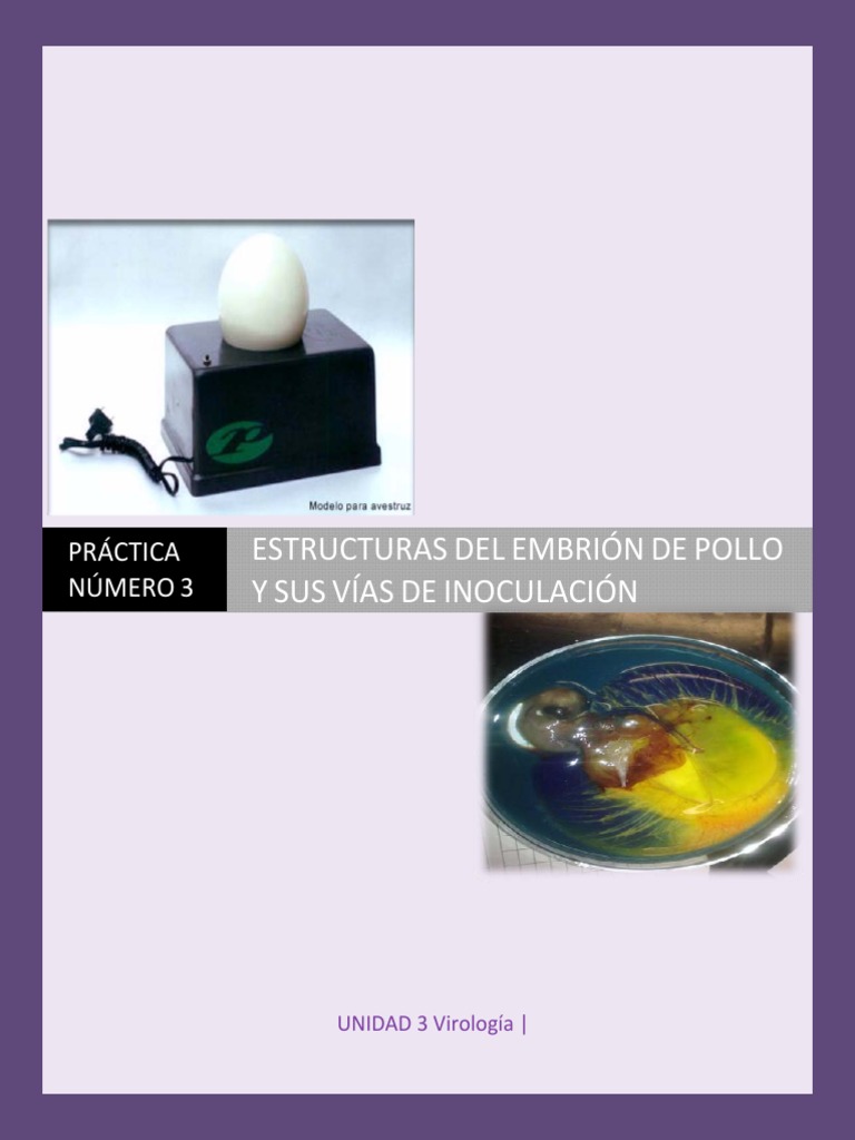 MGII Practica 14 Estructuras Del Embrión de Pollo y Sus Vías de ...