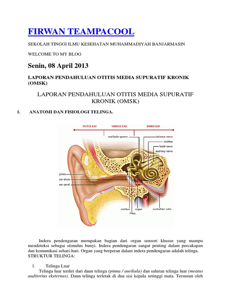 Otitis Media Supuratif Kronik OMSK | PDF