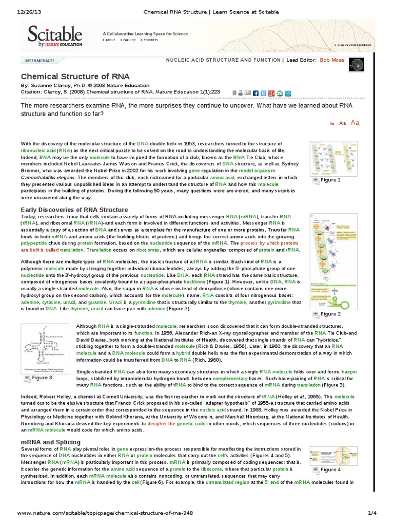 Chemical RNA Structure - Learn Science at Scitable | PDF | Rna | Messenger Rna