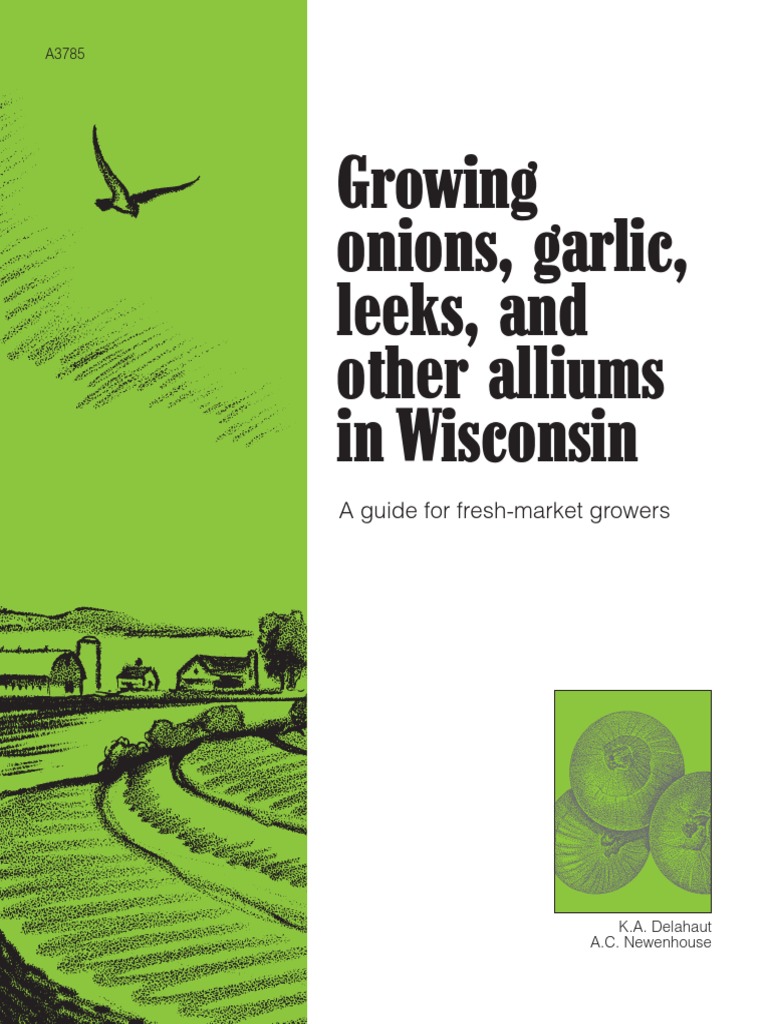 Chives Cultivation | PDF