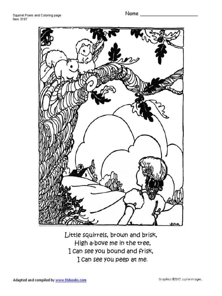 Animal Lesson Plan | PDF