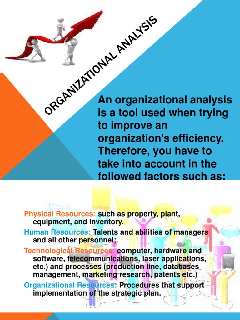 Organizational Analysis for Efficiency | PDF | Career & Growth | Business