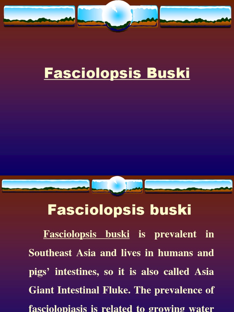 Fasciolopsis Buski: Intestinal Fluke Overview | PDF