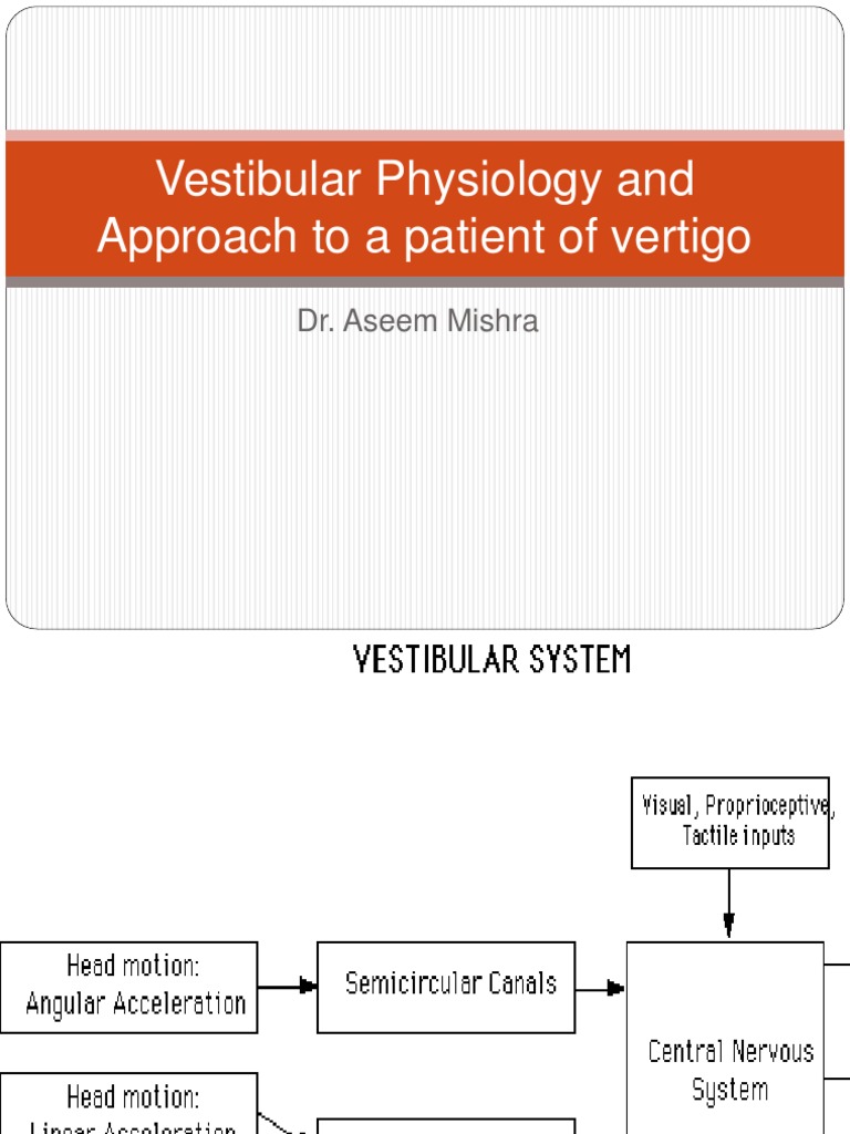 Vertigo Physiology and Clinical Assessment | Download Free PDF ...
