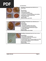Retortamonas Intestinalis | PDF | Especialidades Medicas | Microbiología