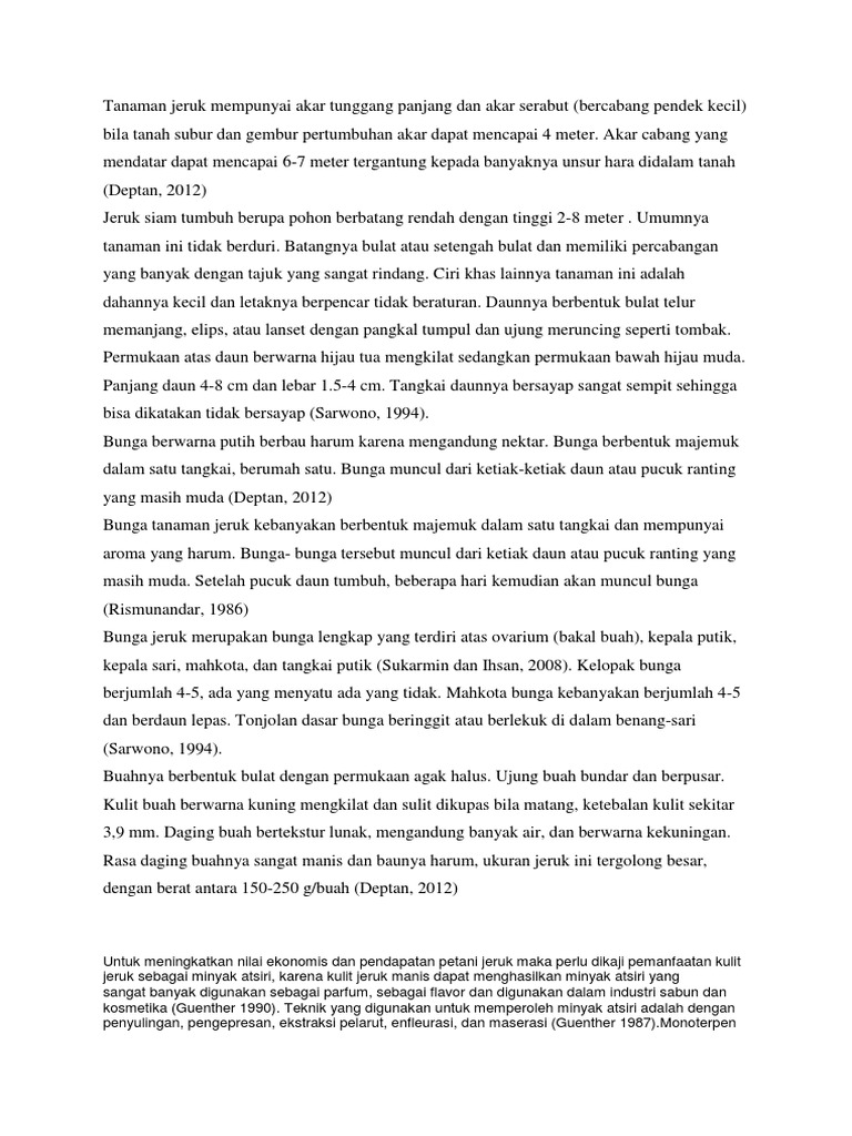 Tanaman Jeruk Mempunyai Akar Tunggang Panjang Dan Akar Serabut | PDF