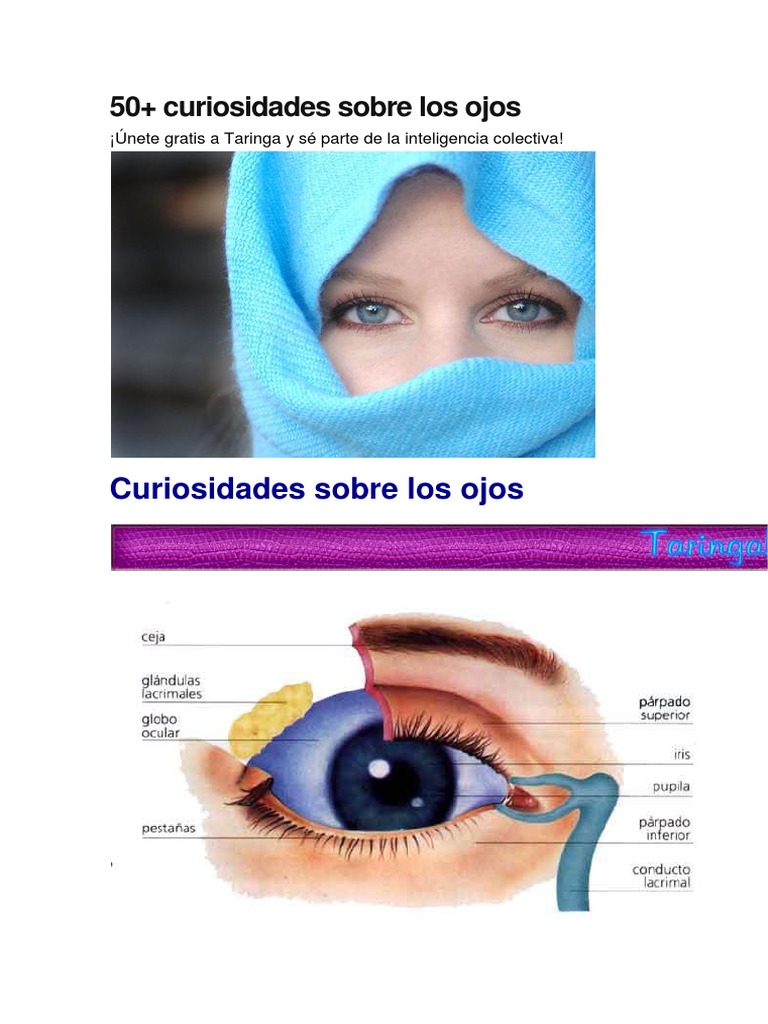 50 Curiosidades de Los Ojos | PDF | Ojo humano | Ojo