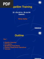 Pipesim Course | PDF | Petroleum Reservoir | Liquids