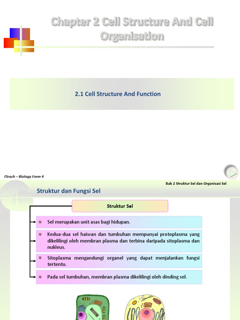 Chapter 2 Cell Structure and Cell Organisation | PDF