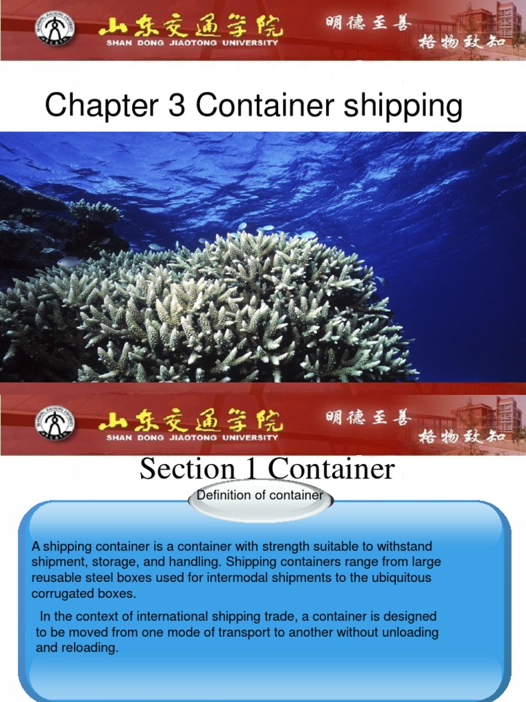 Chapter 3 Container Shipping | PDF | Cargo | Containerization