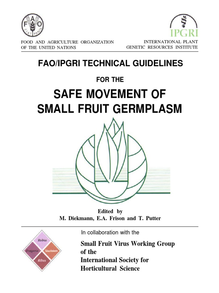 Boli Capsun Si Arbusti | PDF | Strawberry | Plant Pathology
