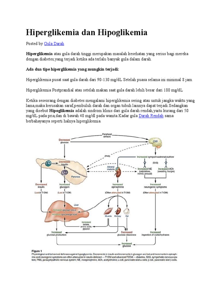 Hiperglikemia Dan Hipoglikemia | PDF