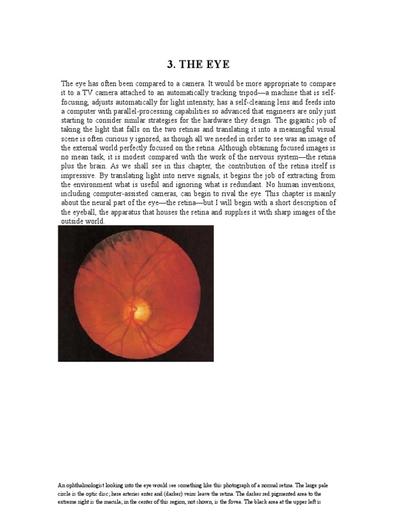 The Eye | PDF | Retina | Eye