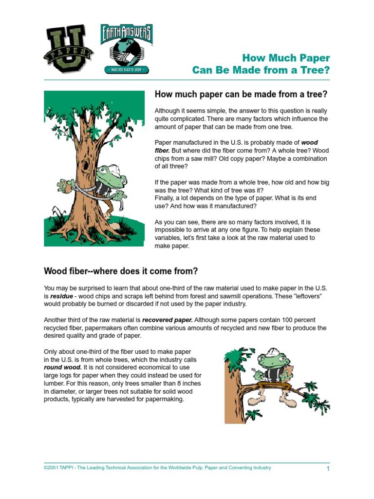 How Much Paper Can Be Made From A Tree | PDF | Pulp (Paper) | Paper