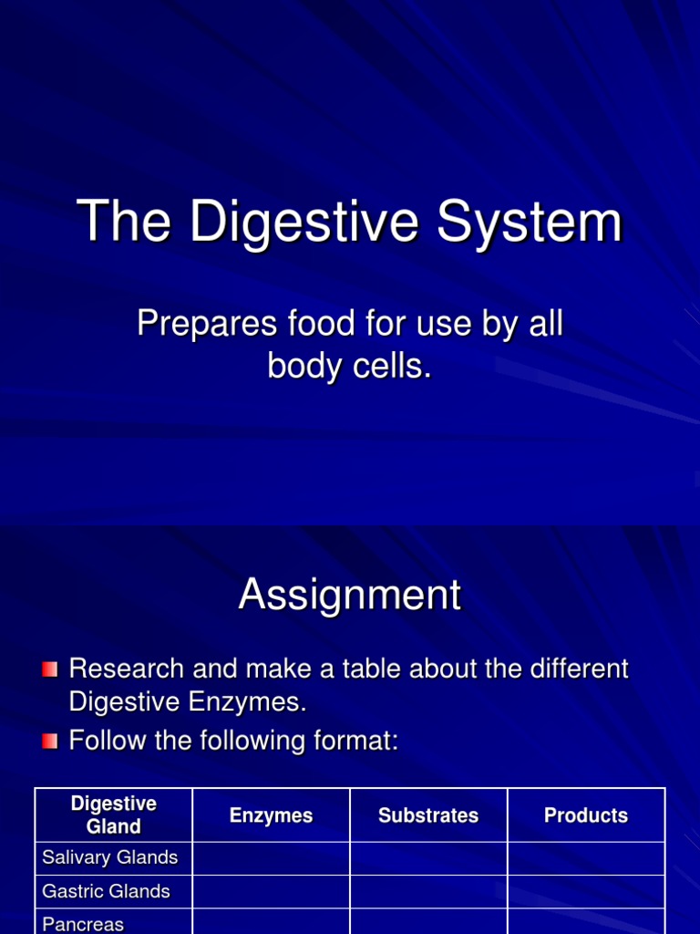 Digestive Enzymes Table Guide | PDF