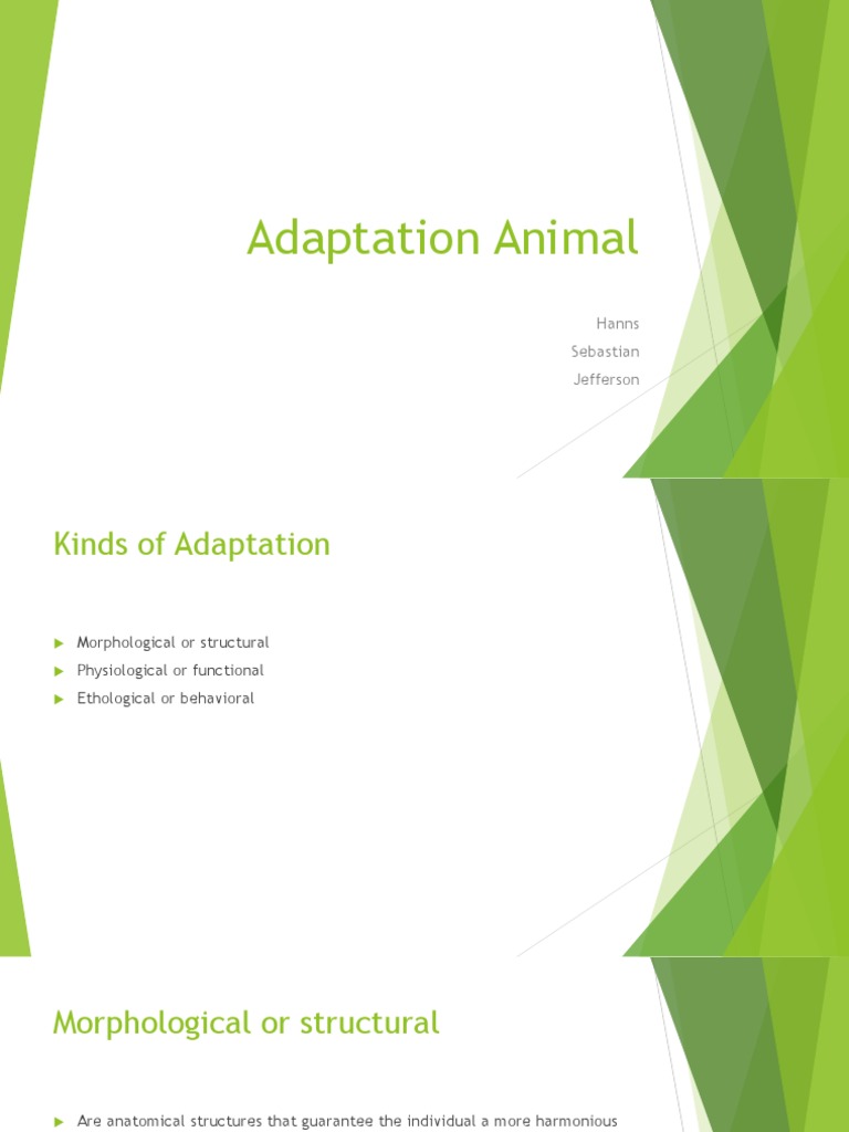Types of Animal Adaptation Explained | PDF | Biological Evolution ...