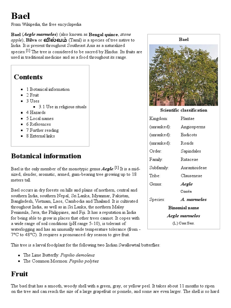 Bael Wikipedia The Free Encyclopedia PDF Fruit Plants