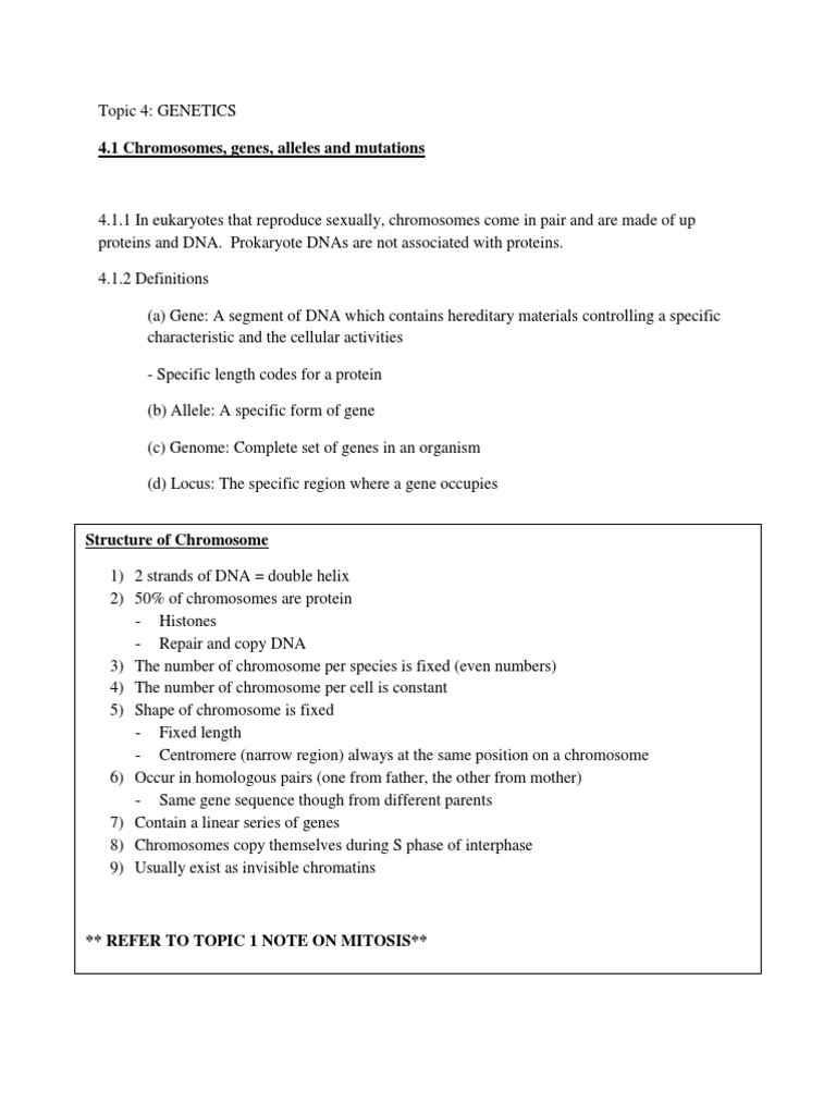 IB Biology SL Genetics | PDF | Meiosis | Chromosome