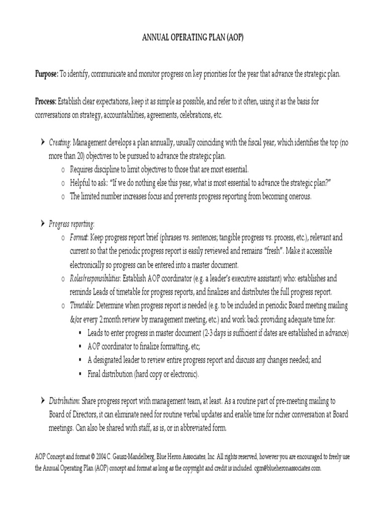 Annual Operating Plan | PDF