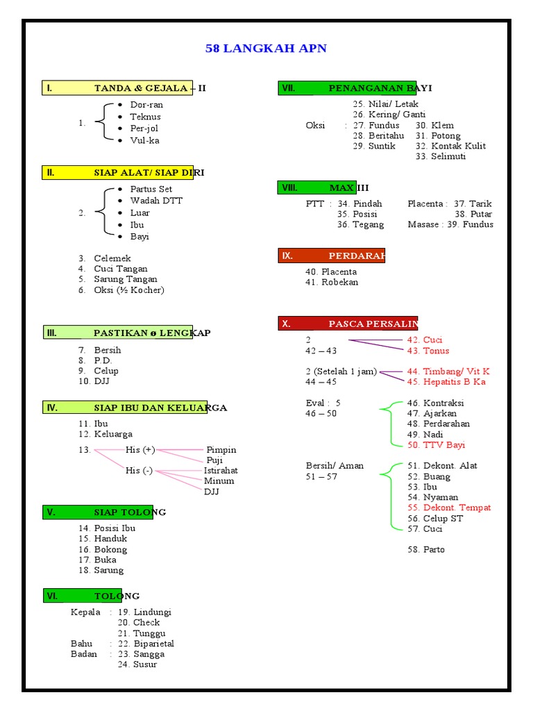 58 Langkah Apn | PDF | Perjalanan | Kesehatan Holistik