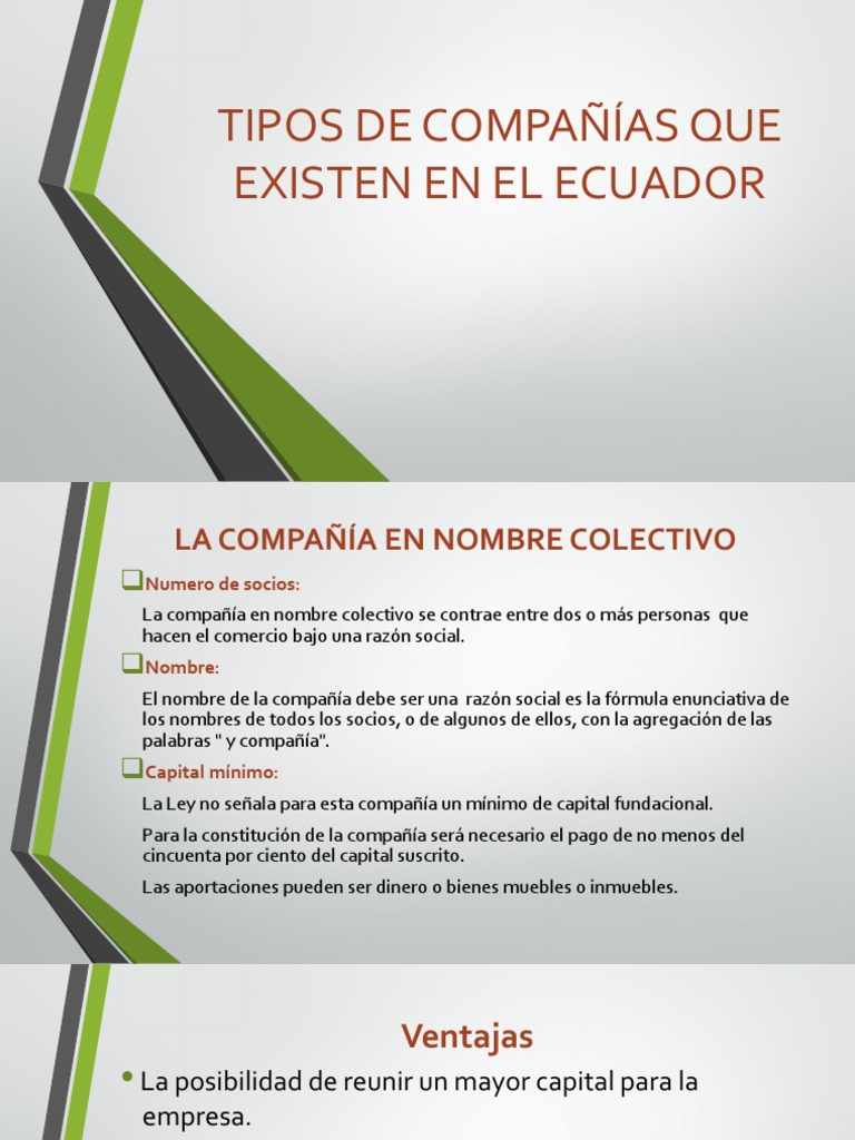 Tipos de Compañias | PDF | Compartir (Finanzas) | Economias