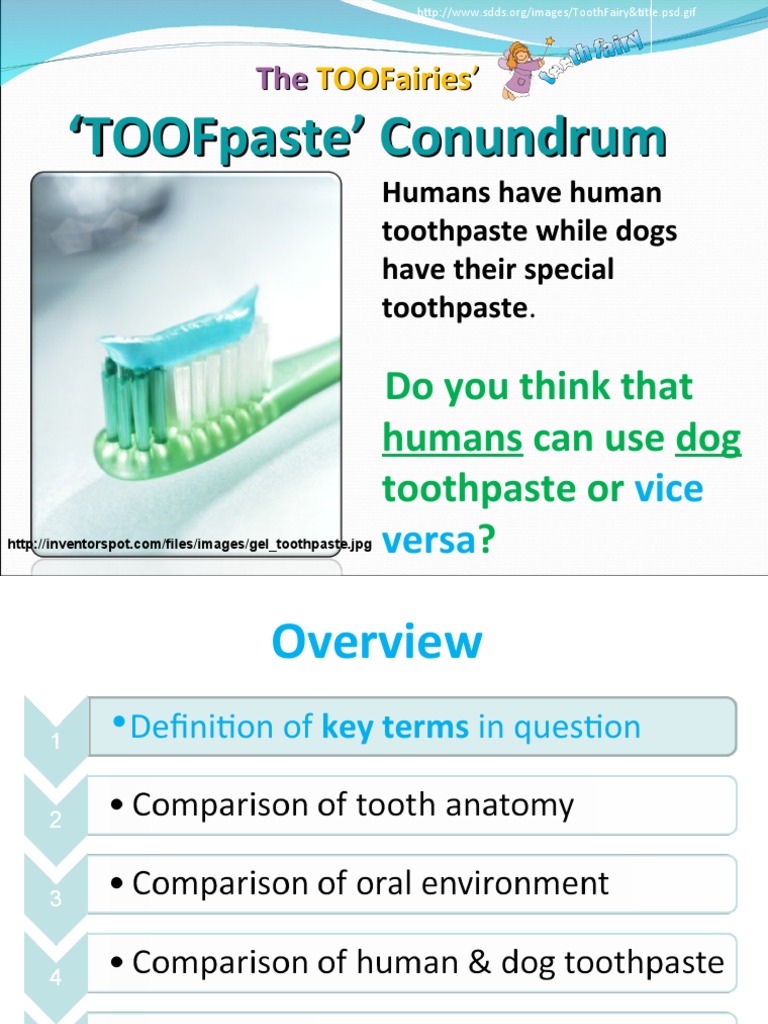 Human vs Dog Toothpaste: Key Differences | PDF | Saliva | Tooth Enamel