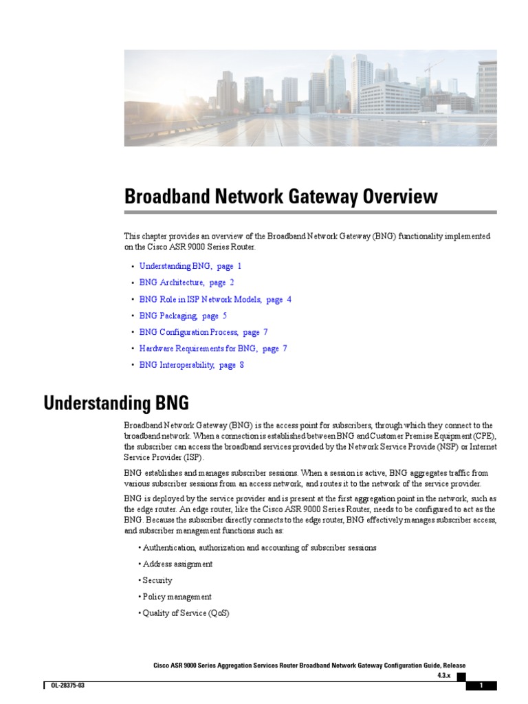 BNG Cisco | PDF | Radius | Customer Premises Equipment