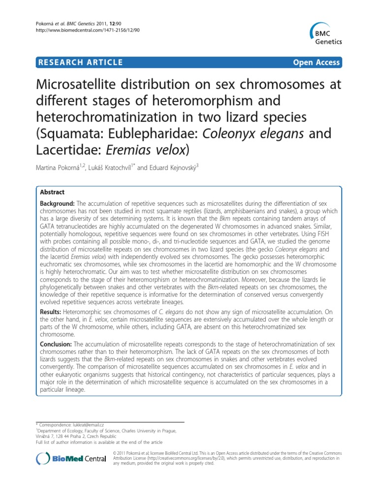 Microsatellite Distribution On Sex Chromosomes at Different Stages of ...
