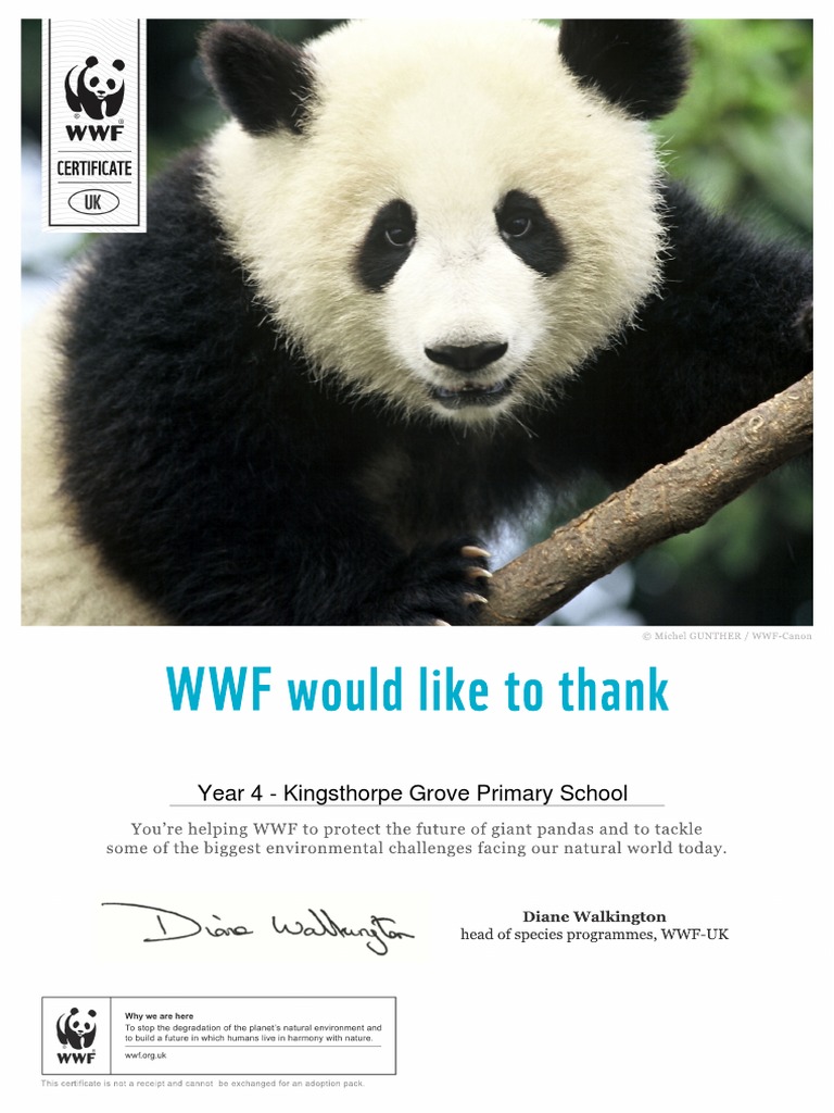WWF Certificate | PDF