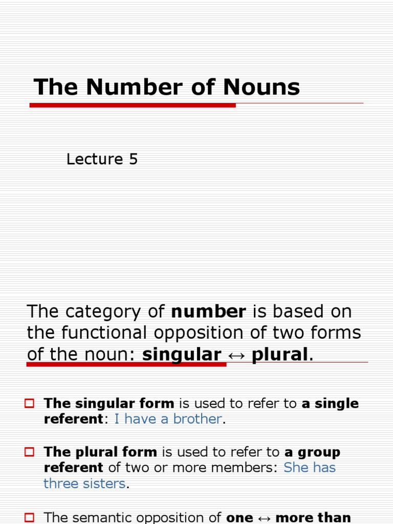 The Number of Nouns | PDF | Grammatical Number | Plural
