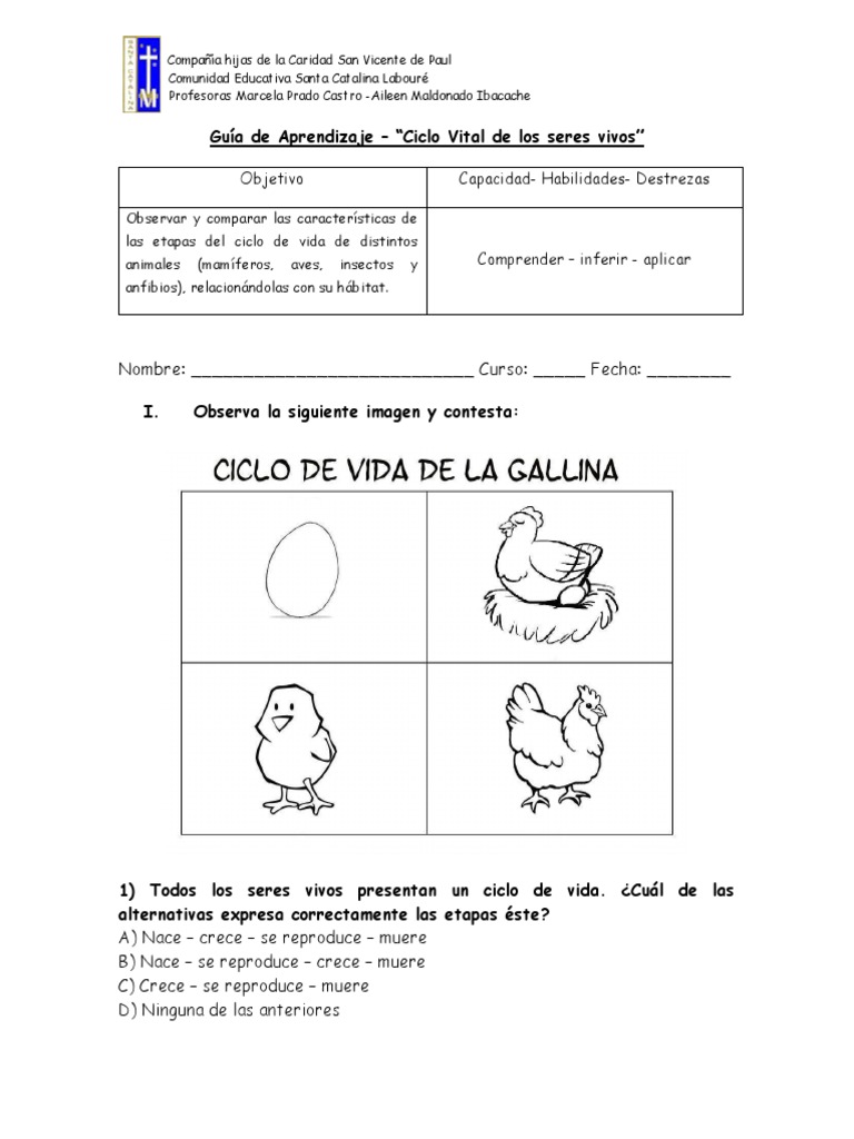 Guía del Ciclo Vital de los Seres Vivos | PDF
