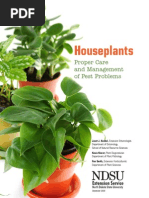 Printable L Plate Template | PDF