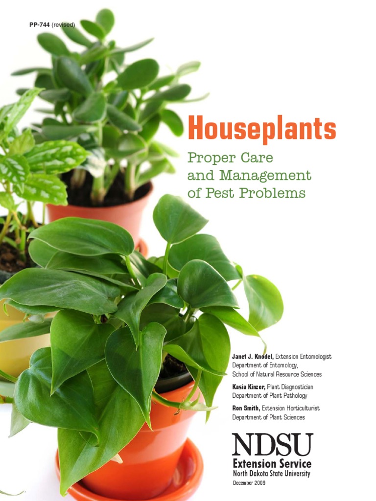 Houseplants: Proper Care and Management of Pest Problems | PDF ...