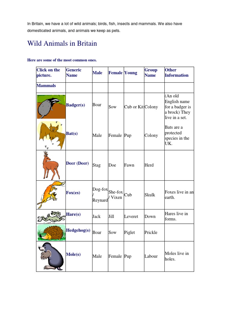 Wild Animals in Britain: Click On The Picture. Generic Name Male Female ...