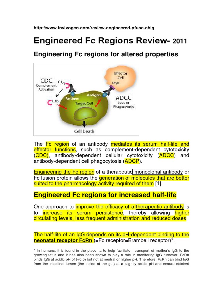 Engineered Fc Regions in Antibodies | PDF | Immunoglobulin G | Life ...