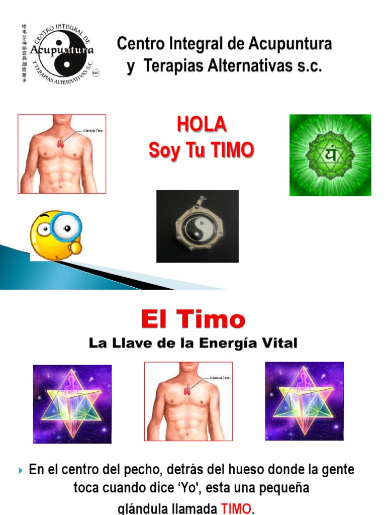 Glandula Del Timo | PDF | Timo | Sistema inmune