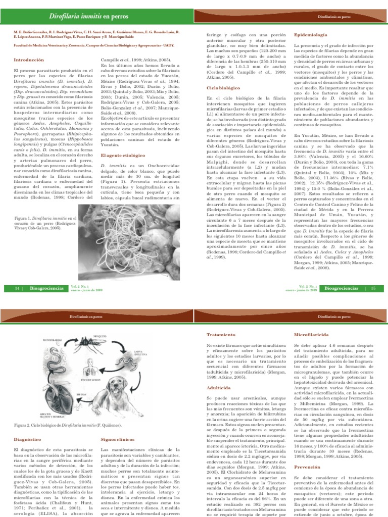 Dirofilaria 2 | PDF | Enfermedades y trastornos | Ciencias de la Salud